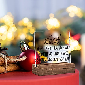 Graduation Goodbye Gifts, Cute Winnie the Pooh Clear Acrylic Desk Decorative Sign with Wood Stand, Home Office Positive Plaque Decor, Graduation Farewell Gifts for College Students Girls Boys