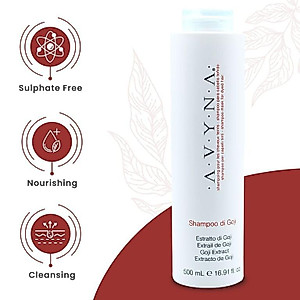 Avyna Shampoo for Color Treated Hair with Goji Extract 16.91 oz