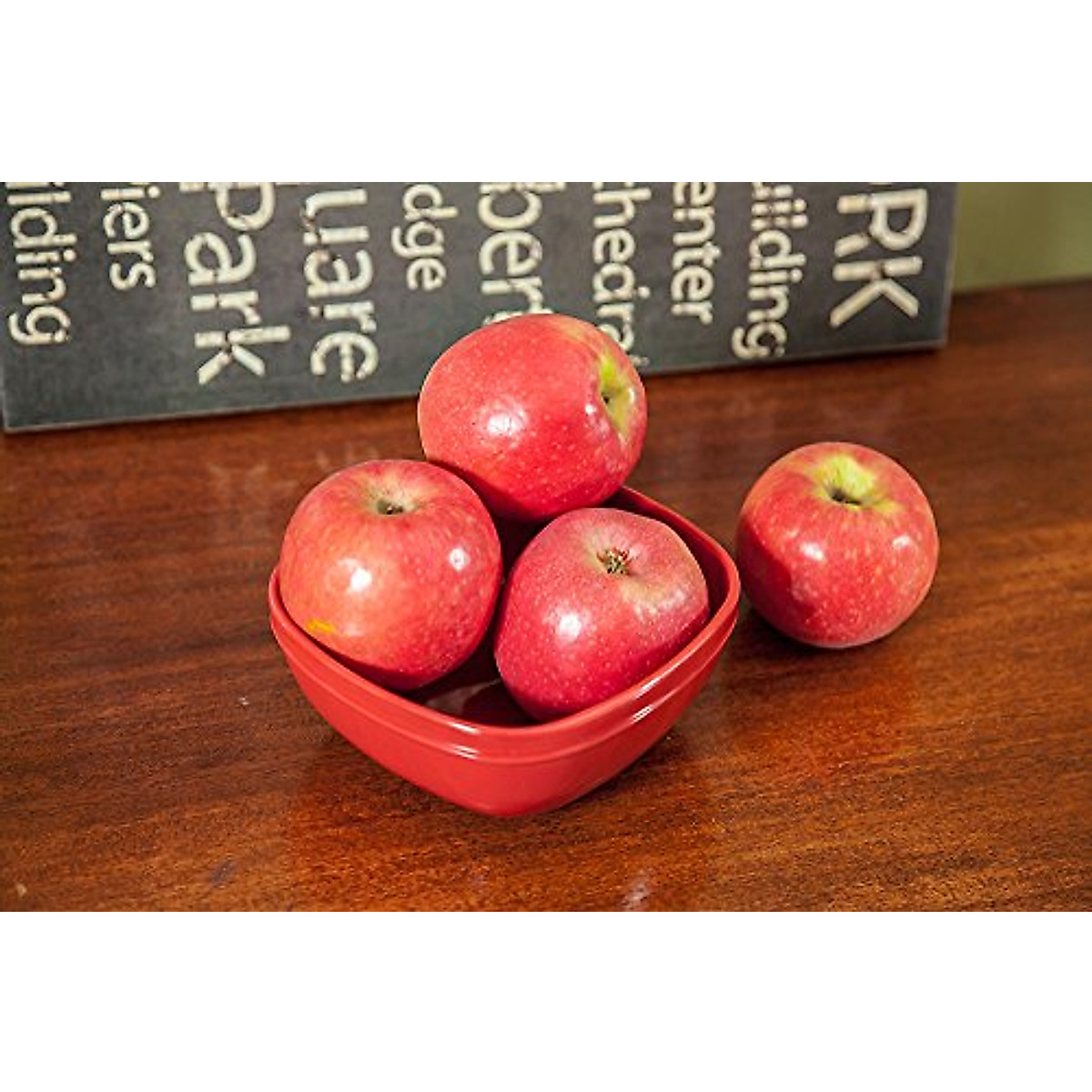 Perfect Plants Anna Apple Tree Live Plant, 4-5', Includes Care Guide