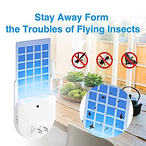 Flying Insect Trap Indoor, Fruit Fly Traps for Indoors with 6 Glue Cards, Safe and Effective Gnat Traps for House Indoor, Fruit Fly Trap Fly Traps Indoor for Home