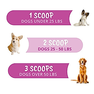 Under the Weather Pet Joint and Hip Powder for Dogs | Vet Formulated Dog Supplements with Glucosamine Antioxidants & Chondroitin for Strong Overall Joint Health | Promotes Good Mobility & Flexibility