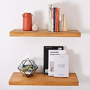 7” DIY Succulent Terrarium Kit with Live Plants, Decorative Rocks, Moss, Healing Crystals, Figurine, Tools & Geometric Glass Terrarium Décor