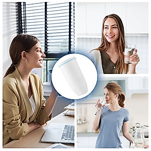 Zero Replacement Water Filter Resin Filtration System 0 TDS 0 Leak,Compatible with Zero Water Pitcher and Dispenser, Reduce Lead/Chromium/PFOA/PFOS (Pack of 4 by TOMOON)