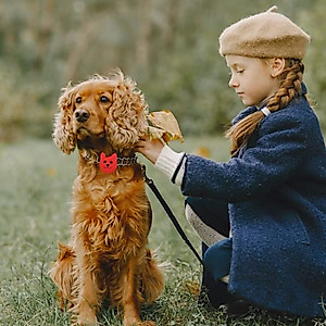 Airtag Dog Collar Holder,Protective Airtag Case for Dog Collar,Air Tag Protective Dog Airtag Cat Collar,Ultra-Durable Silicone AirTags GPS Tracking Accessories,Airtag Pet (1 Pack(Red))