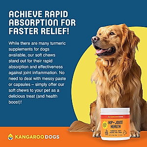 Kangaroo Dogs Hip + Joint Health Turmeric Soft Chews - Dog Supplement Made with Organic Turmeric - Supports Mobility, Immune System, Heart Health, May Reduce Joint Pain & Inflammation - 35 Treats