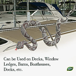 DALEN Inflatable Snake - Efficient Bird and Pest Deterrent – Safely Deters Birds – 6 feet Long …