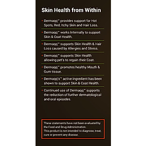 animal V, Inc Dermaqq Dog & Cat Hot Spots, Hair Loss, Dermatitis Support