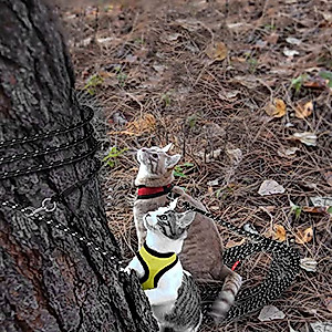 Rypet Reflective Cat Long Leash - 15 FT Escape Proof Walking Leads Yard Long Leash Durable Safe Personalized Extender Leash Traning Play Outdoor for Kitten, Puppy, Rabbit and Small Animals