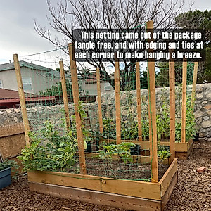 HOECMRHP Trellis Netting, Heavy-Duty Garden Grow Netting for Climbing Plants, Outdoor Indoor Net for Cucumber, Tomatoes, Beans, Clematis, Fruits & Vegetables, Climbing Vining Plants (8.2' x 6.6'Ft)