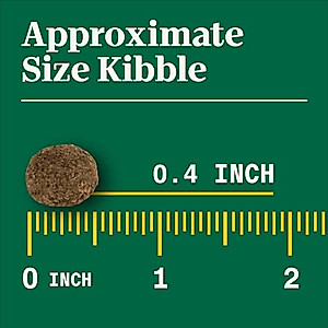 Nutro Natural Choice Adult Dry Dog Food, Salmon & Brown Rice Recipe, 28 lb. Bag