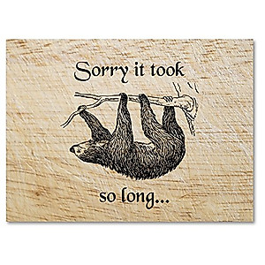 Small World Greetings Sorry It Took So Long Sloth Greeting Card 12 Count - Blank Inside with Envelopes - A2 Size (5.5"x4.25") - Belated Birthday, Late Shipment, Apology, Belated Thank You