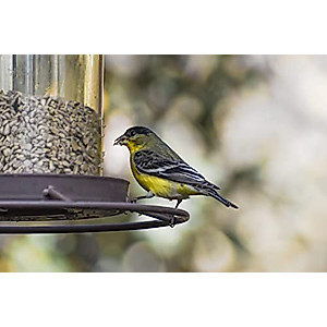 Bird Feeder Tall for Outside Hanging, Bird Seed for Outside Wild Bird Feeders for Garden Yard Outdoor Decoration, 2 Column Design for Different Approaching, Brown