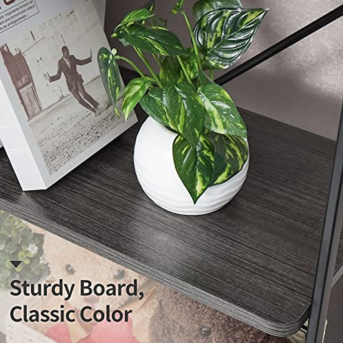 4 Tier Folding Bookshelf Modern Storage Shelves, Free Standing Display Shelf for Collectors, Easy Assembly Bookcase for Bedroom, Office, Pantry
