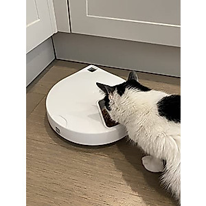 Cat Mate C500 Five-Meal Automatic Pet Feeder with Stainless Steel Bowl Inserts
