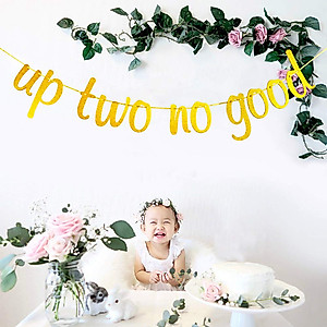Up Two No Good Banner for 2nd Birthday Anniversary Party Decorations Gold Glitter
