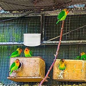 balacoo 12pcs Bird Water Hanging Cups Bird Food Water Bowls Clear Plastic for Bird Parrot Cage Feed Cup Food Container Supplies