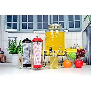 Straw Dispenser with Stainless Steel Lid | Glass Straw Holder for Counter with Lid | Drinking Straw Dispensers | Straw Container | Holds Straws up to 8.5 Inches, Black