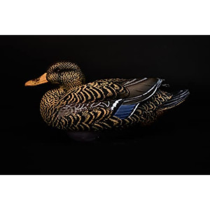 Lifetime Decoys HydroFoam Flocked Mallard 6 Pack - Light as a feather - Lasts forever