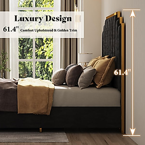 AMERLIFE Queen Size Upholstered Bed, Modern Velvet Bed Frame with 61.4” Tall Gold Trim Headboard, No Box Spring Needed, Black
