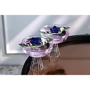 Paris Coupe Cocktail and Champagne Glasses for Daiquiri, Sidecar, Gimlet and Classic Bar Drinks | Modern Glassware Collection | Set of 4 | 8 oz Extra Light Contemporary Borosilicate Saucers