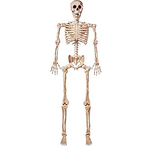 JOYIN 67 Inches Life Size Skeleton Full Body Realistic Human Bones with Posable Joints for Halloween Pose Skeleton Prop Decoration, Indoor and Outdoor Use