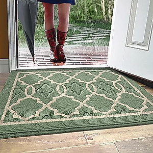 DEXI Door Mat 32x20, Non-Slip Low-Profile Entrance Mats, Absorbent Washable Front Back Doormats for Entryway, Inside Entry, High Traffic Areas, Green