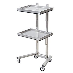 Kaleurrier Rolling Tool Trolley Cart with Double Storage Tray,Stainless Steel Utility Instrument Tray Stand with Wheels for Beauty Hair Salon Tattoo Spa Clinic Medical Studio Home (Color:Silver)