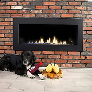 Bark Costco Dog Park Party Pack