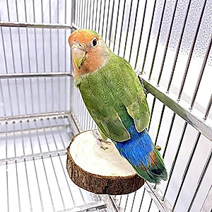 TOLMIOW 9 Pieces Parrots Chewing Natural Wood and Rope Bungee Bird Toy for Anchovies, Coconut Hideaway with Ladder ,Bird Perch Stand, Bird Cage Accessories, Parakeets, Cockatiel, Conure, Mynah, Macow
