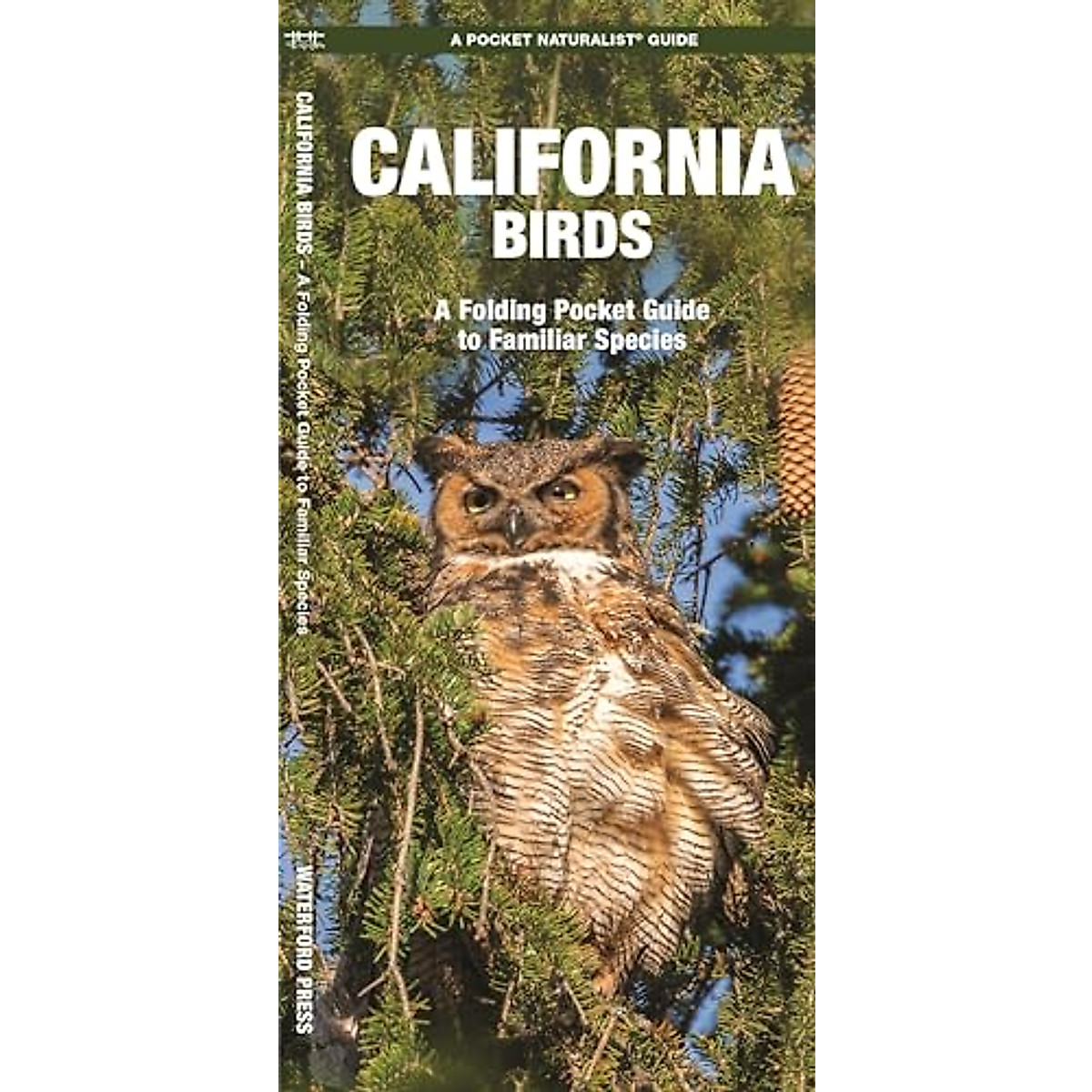 California Birds: A Folding Pocket Guide to Familiar Species (Nature Observation North America)