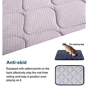 Dog Beds for Small Dogs Crate Pad Mat 21 inch Kennel Pads Washable Mattress Dog Sleeping Mats,Non Slip Pet Beds