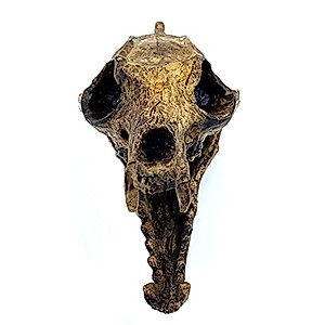 Screaming Aztec Death Whistle - Carnivore