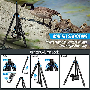 SIRUI AM-124 Carbon Fiber Tripod with Triangular Center Column, 62.6" Compact TravelTripod for Camera, 4 Sections, Waterproof Twist Lock, Load 26.5lbs