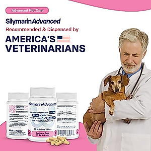 SilymarinAdvanced Liver Health Supplement for Large Dogs Combining S-Adenosylmethionine (Same) and Silybin, Liver Tablets, Cognitive Support, Pet Essentials & Wellbeing, 30 Tablets