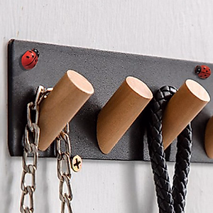 Rainteam 8pcs Plants Magnets Tiny Ladybug Pins Charms Funny Potted Plant Safe Magnets Cute House Plant Accessories,Christmas Decoration Gift for Plants Lovers (Ladybug)