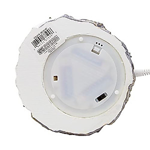 Kurt S. Adler Battery-Operated Musical Santa and SLED Waterglobe Water Globes, 120MM, Multi-Colored