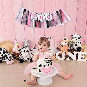 Disco Cowgirl High Chair Banner - Cowgirl First Birthday Decoration,Cowgirl First Rodeo,Man I Feel Like I'm One,Disco Cow Girl Decor