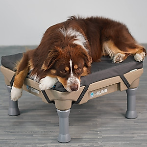 Blue-9 Pet Products Restore Dog Bed, Durable, Water Resistant, and Washable Design, 24” Square