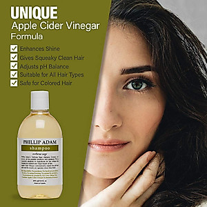 Phillip Adam Verbena Sage Shampoo for Shiny Hair - Sulfate Free and Paraben Free - For All Hair Types - 12 Fl Oz