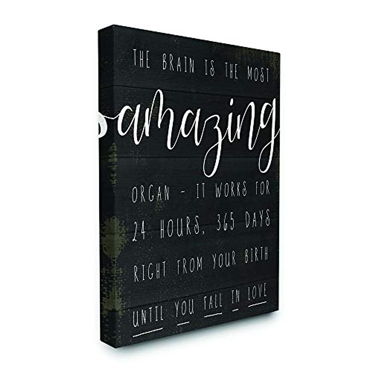 Stupell Industries Amazing Brain Love Black and White Inspirational Word, Design by Artist Daphne Polselli Wall Art, 36 x 48, Canvas