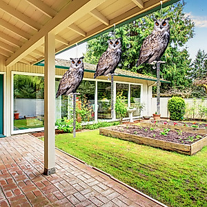 kungfu Mall Owl to Keep Birds Away, 3 Pack Bird Scare Owl Fake Owl, Reflective Hanging Bird Decoration, Effective Bird Control Device to Keep Birds Pigeon Woodpecker Away from Patio Garden