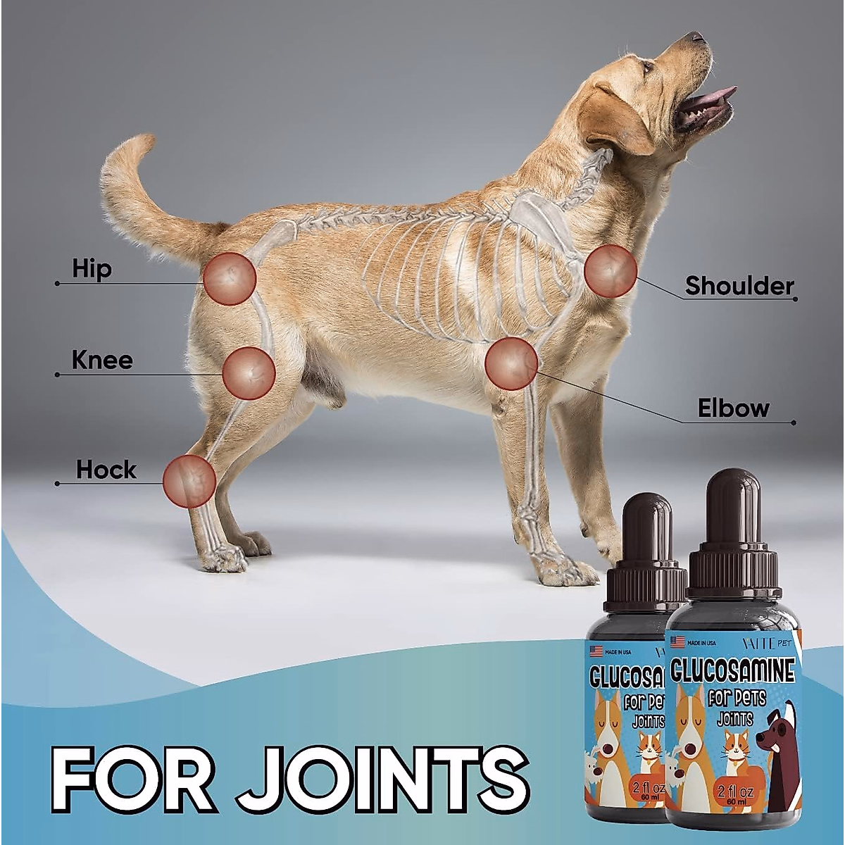 Hip & Joint Glucosamine Drops for Pets - Advanced Formula with Glucosamine, Chondroitin & MSM - Enhances Mobility Support - Natural Pain Relief for Dogs and Cats - Anxiety Supplement for Senior Pets
