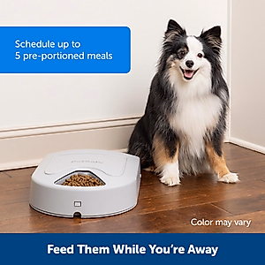 PetSafe 5 Meal Dog Food Dispenser - Storage for Up to 5 Cups of Kibble or Treats of Any Size - Tray Automatically Rotates According to User Programming to Deliver Pre-Planned Meals at Precise Times