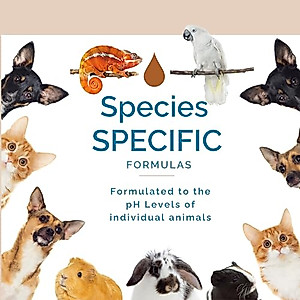 No Scent Small Animal Cage Cleaner for Hamster, Guinea Pig, Rabbit Pet Odor Spray for Urine, Poop & Stains (2 Fl Oz / 59 mL)