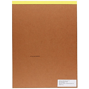 Strathmore 300 Series Bristol Paper Pad, Vellum, Tape Bound, 9x12 inches, 20 Sheets (100lb/270g) - Artist Paper for Adults and Students - Charcoal, Pen and Ink, Marker, and Pastel