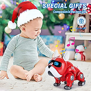 Noetoy Robot Toys, Smart Electronic Pets with Electronic Light & Music, Fun Interactive Early Educational Toy Christmas Birthday Gift for 1 2 3 Years Old Boys Girls