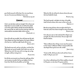 The Bible Promise Book - NLV (New Life Bible)