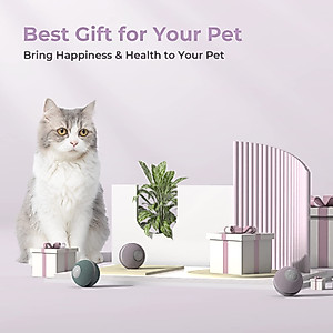 Cheerble Hoochii Smart Interactive Cat Toy, 3 Interactive Modes Automatic Moving Bouncing Rolling Ball for Indoor Cat Kitten Birthday Gift, Self Rotating Ball with Lights and Bell, USB Rechargeable