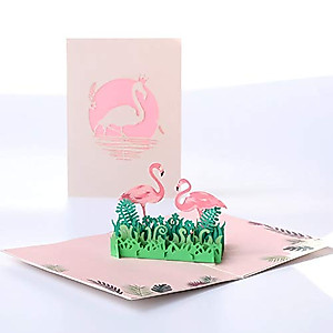 Paper Spiritz Flamingo 3D Pop up Greeting Card,3D Greeting Cards, Thank You, Happy Birthday, Mother's Day Cards,All Occasion, With Envelope