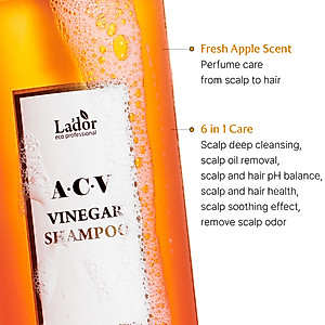 LA'DOR Apple Cider Vinegar Clarifying Shampoo w/Tea Tree Sub-Acidic pH-balanced - Glossy Shine Refreshing for Greasy Dandruff Oily Scalp Hair Free of Silicone Paraben Sulfate 5.07 Fl Oz LADOR Korean